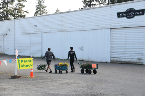 Plant Check – Spring Garden Fair