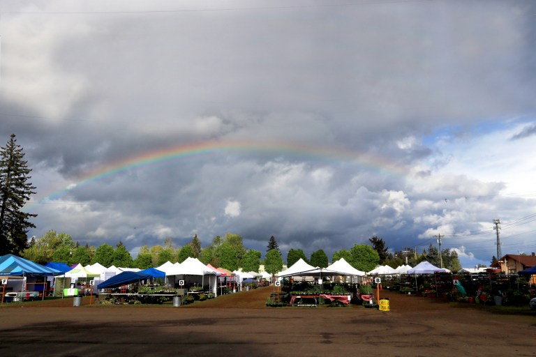 Spring Garden Fair
