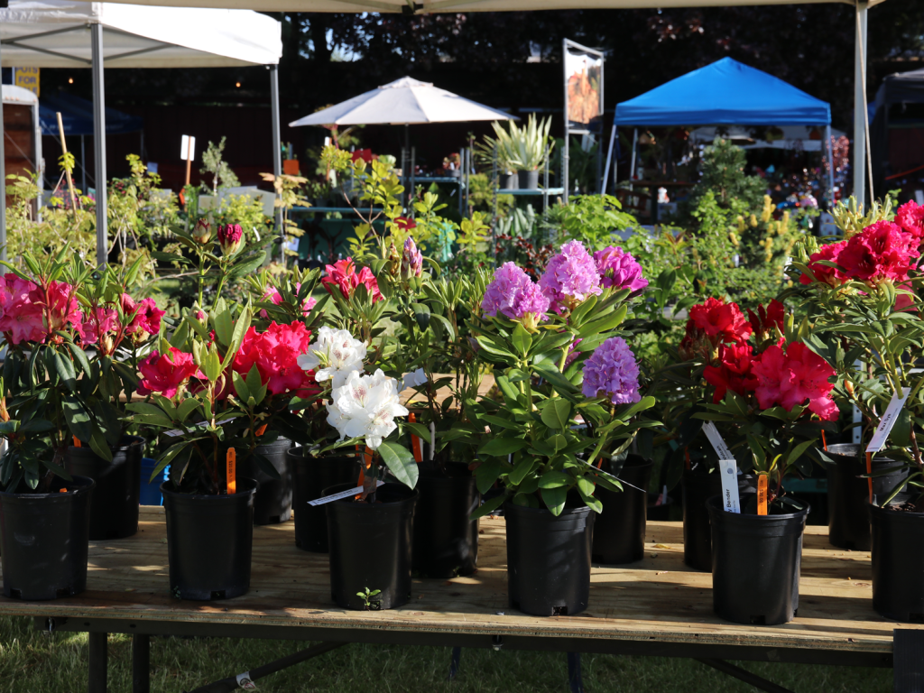 Vendor Information – Spring Garden Fair